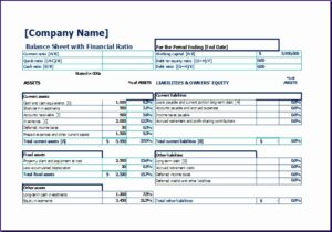 Balance Sheet Template With Financial Ratio (Excel)