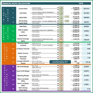 Balance Sheet Template With Financial Ratio (Excel)